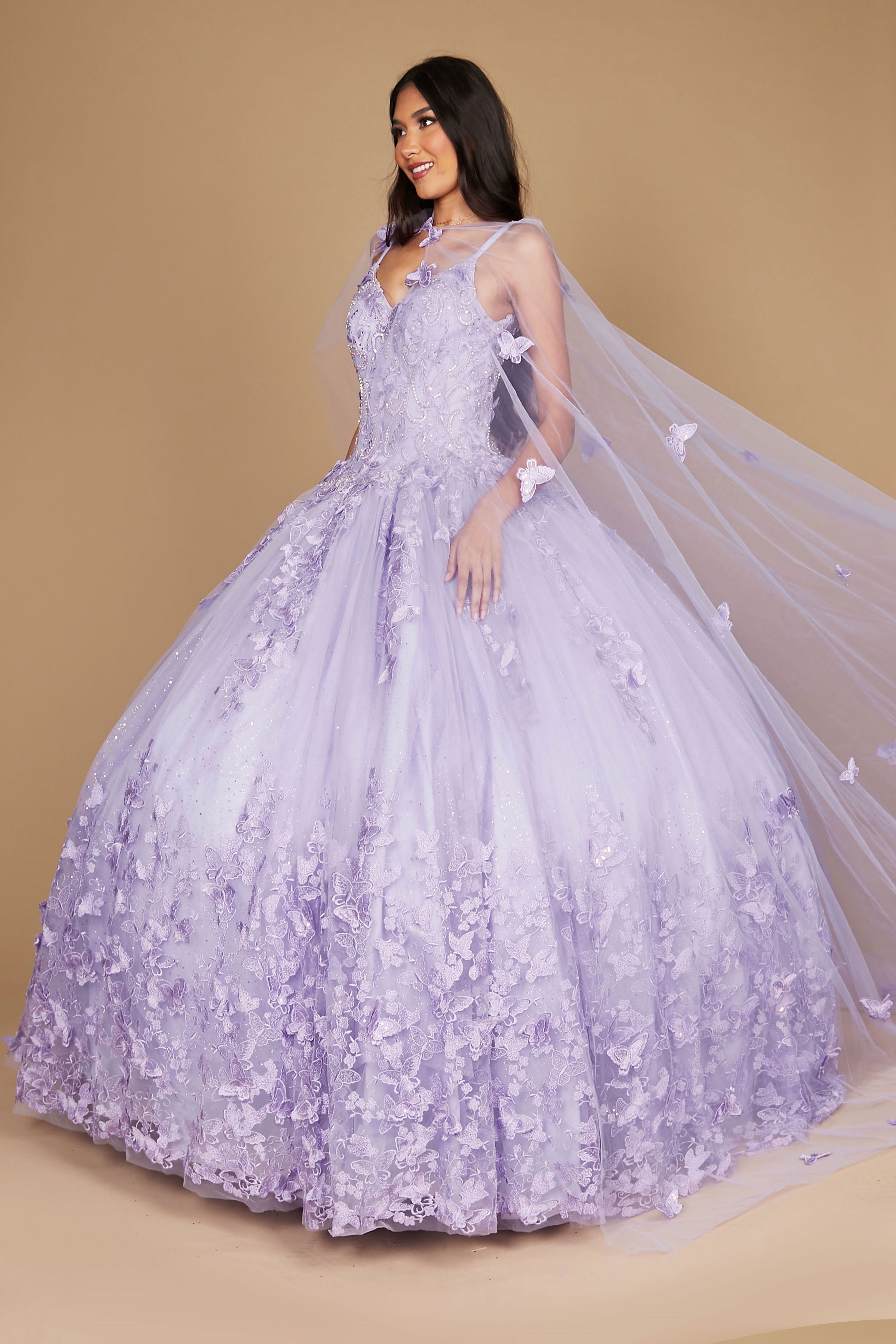 The Most Enchanting Princess Dresses to Fulfill your Fairytale Dreams ...