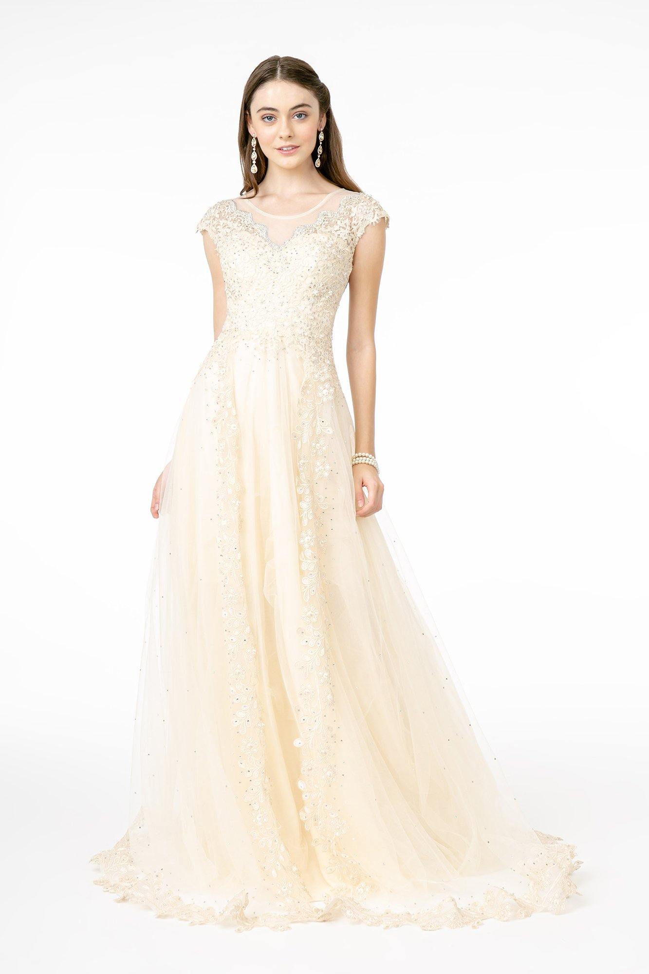 Champagne Embroidered Mesh A-Line Long Dress with Sheer Back for $273. ...