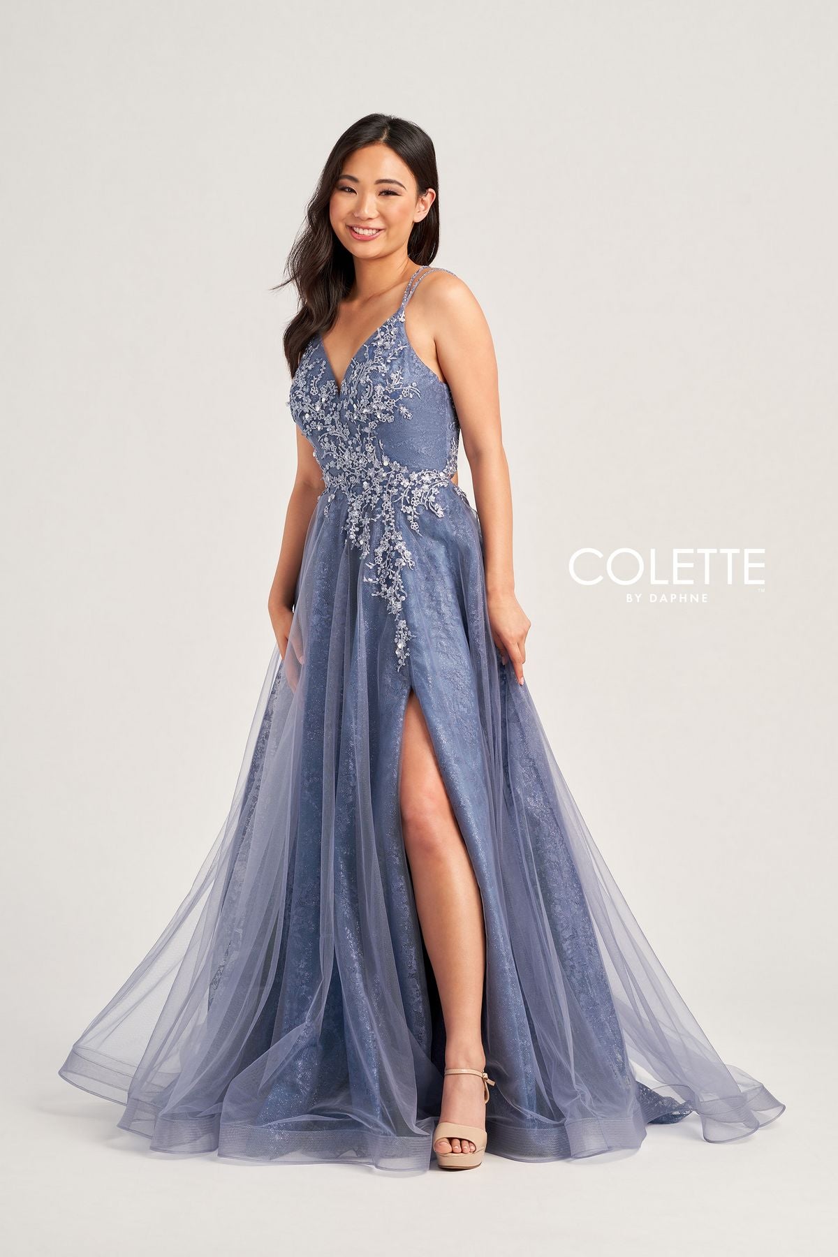 Vintage Rose Colette CL5197 Long Glitter Formal Applique Prom Dress for ...