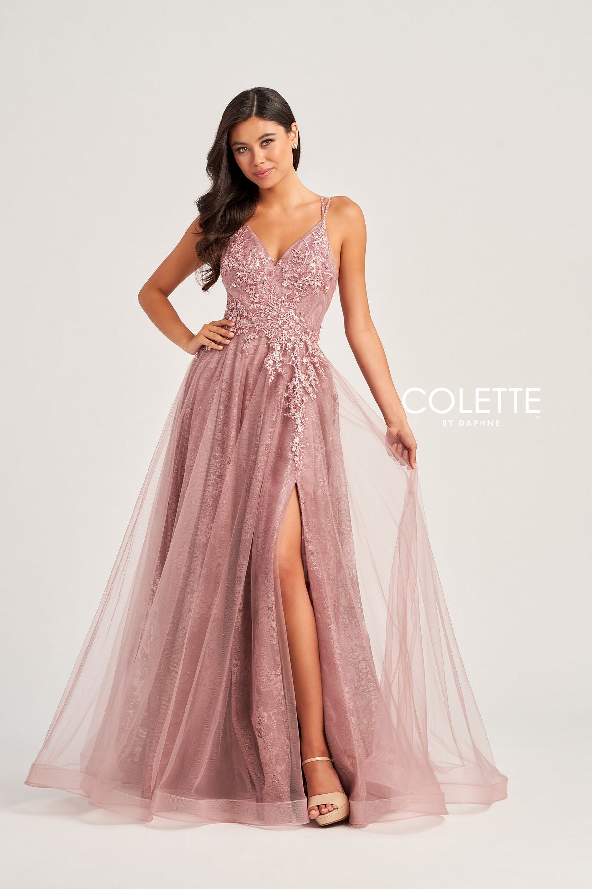Vintage Rose Colette Cl5197 Long Glitter Formal Applique Prom Dress For
